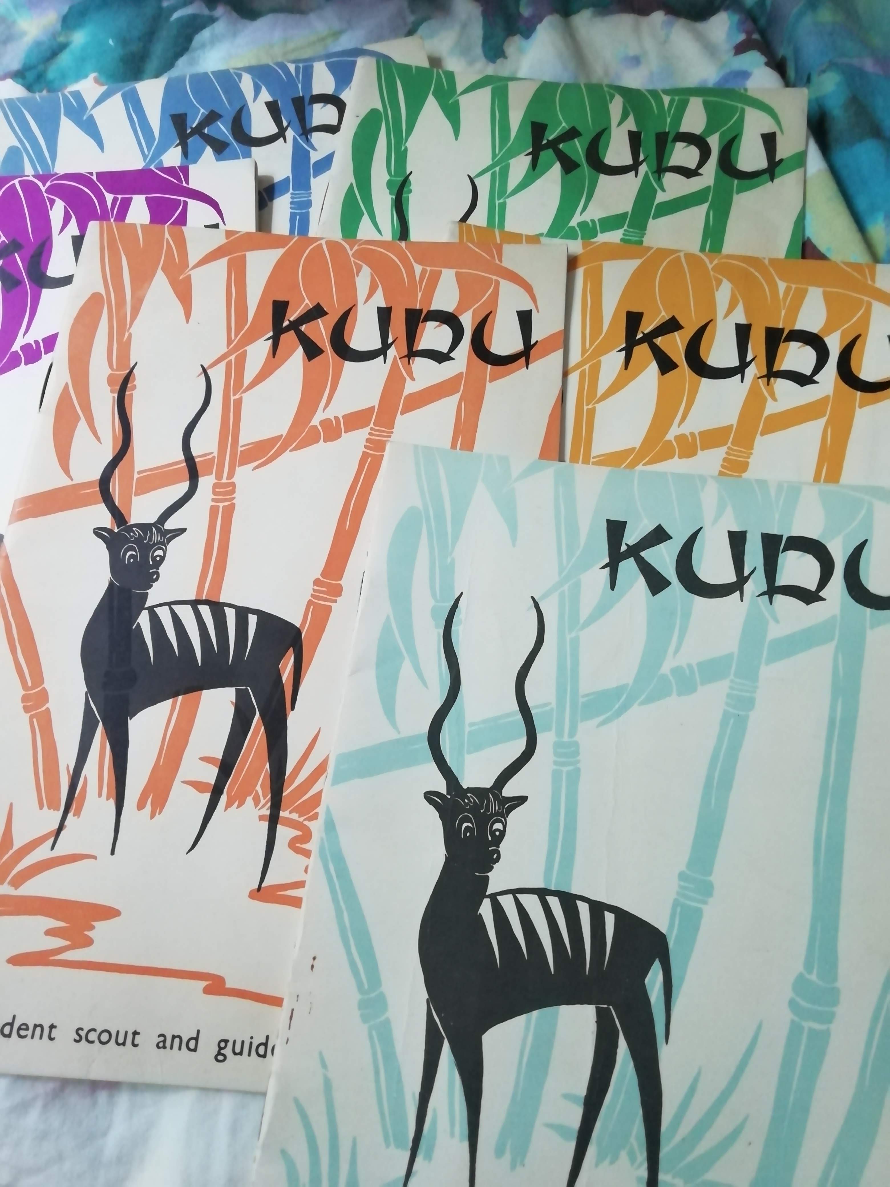 SSAGO - History of SSAGO Student Scout and Guide Organisation Book